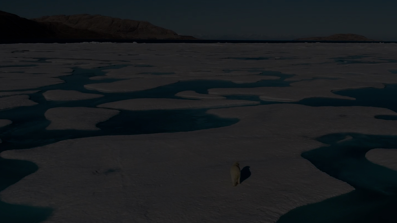 Voir : I am fragile, sur Imago TV