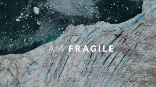 Voir : I am fragile, sur Imago TV