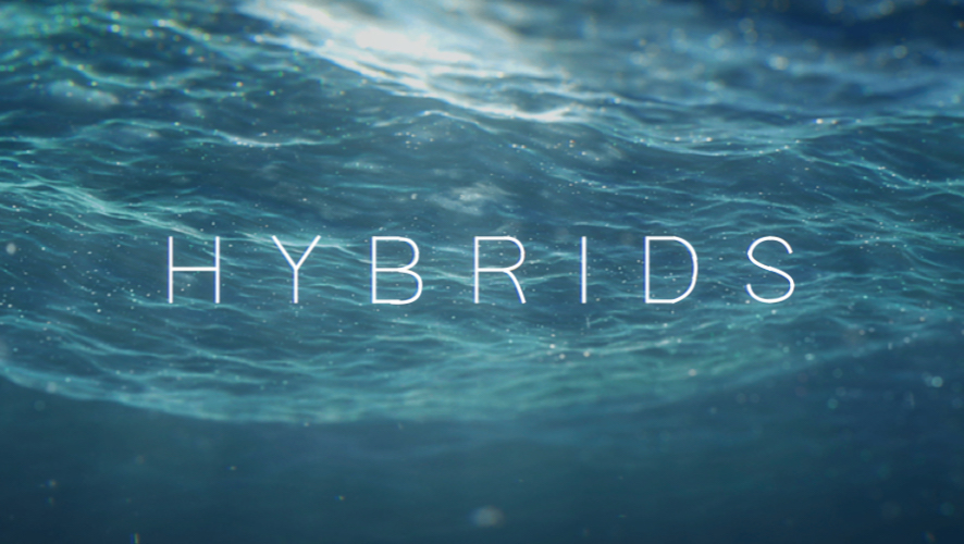 Voir : Hybrids, sur Imago TV